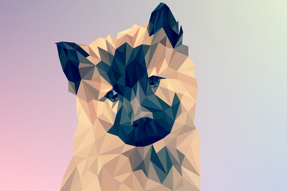 Unusual Dog Names Going The Extra Mile unusual-dog-names-going-the-extra-mile