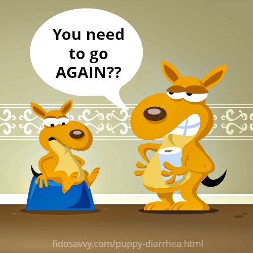 Puppy Diarrhea - Causes, Treatment & Prevention
